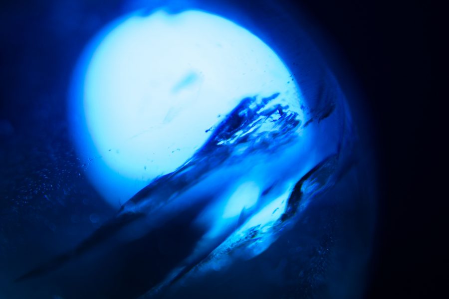 Homepage - Shutter Hub